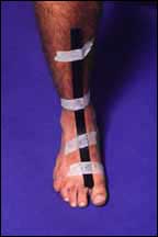 Construction of a Foot Mold - STS Company